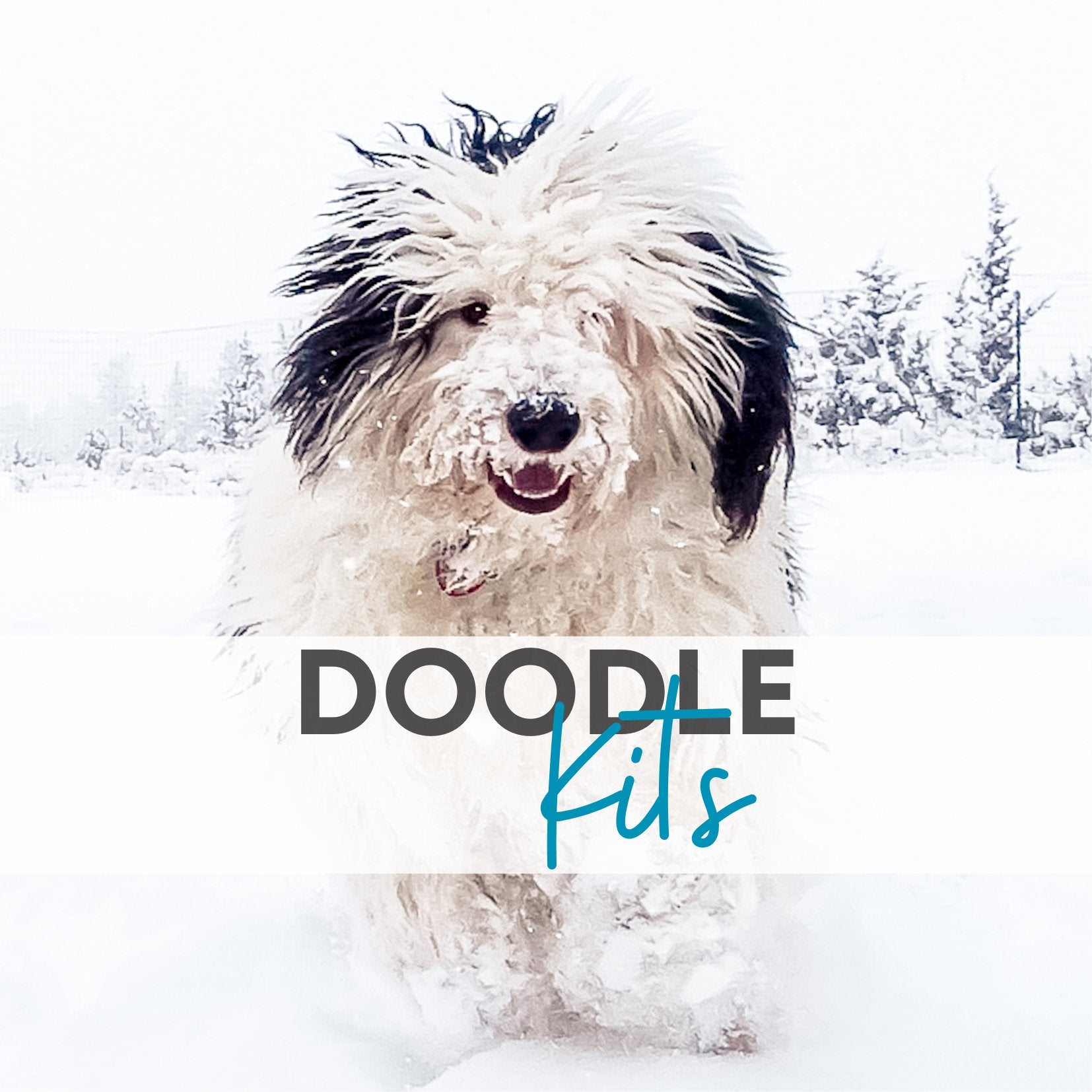 Chris Christensen Doodle Grooming Product Kit - Wheatley Wares